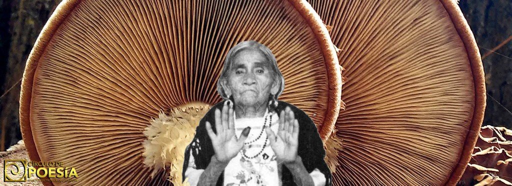 La otra poesía mexicana: María Sabina – Circulo de Poesía